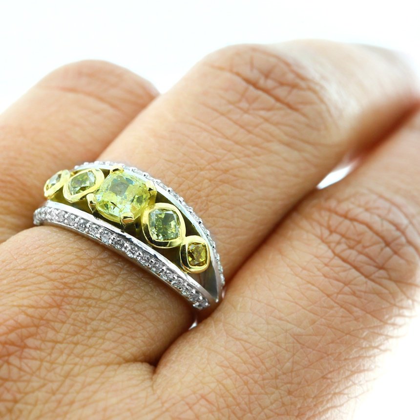 ECHUNGA COLLECTION: MEET THE NEW ADDITIONS