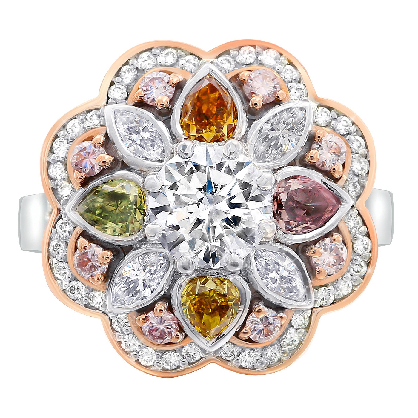 The Story Behind the Echunga Collection